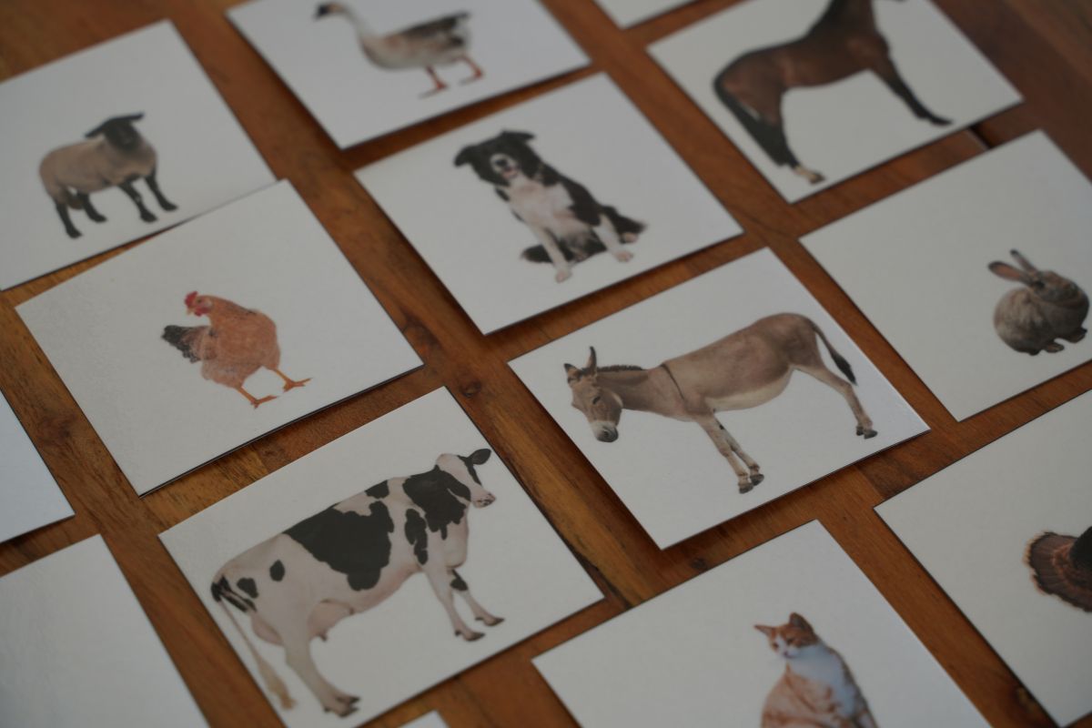 How to Use Montessori Classified Picture Cards | The Montessori Journal