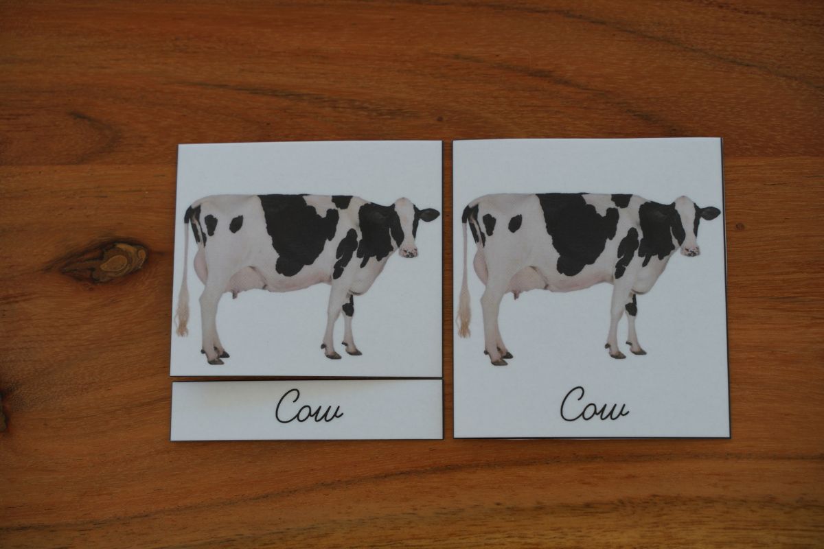 How to Use Montessori Classified Picture Cards | The Montessori Journal