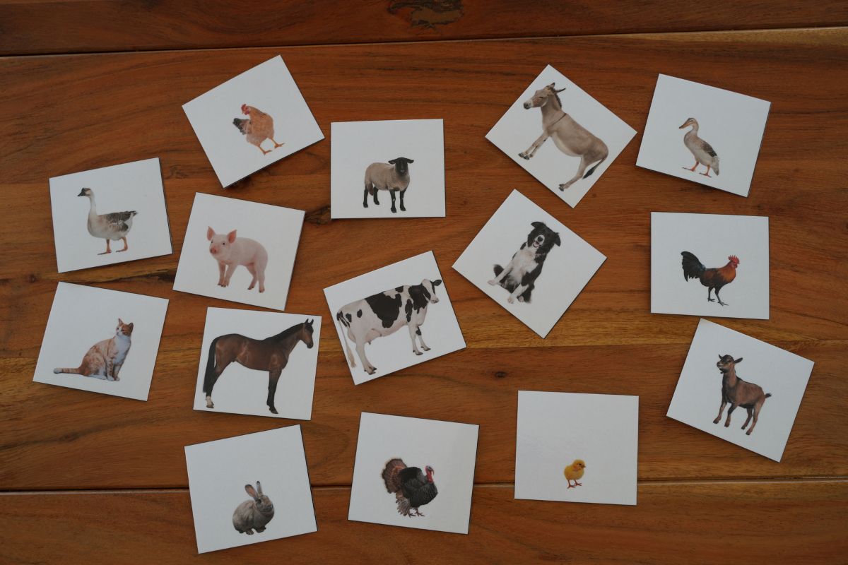 How to Use Montessori Classified Picture Cards | The Montessori Journal